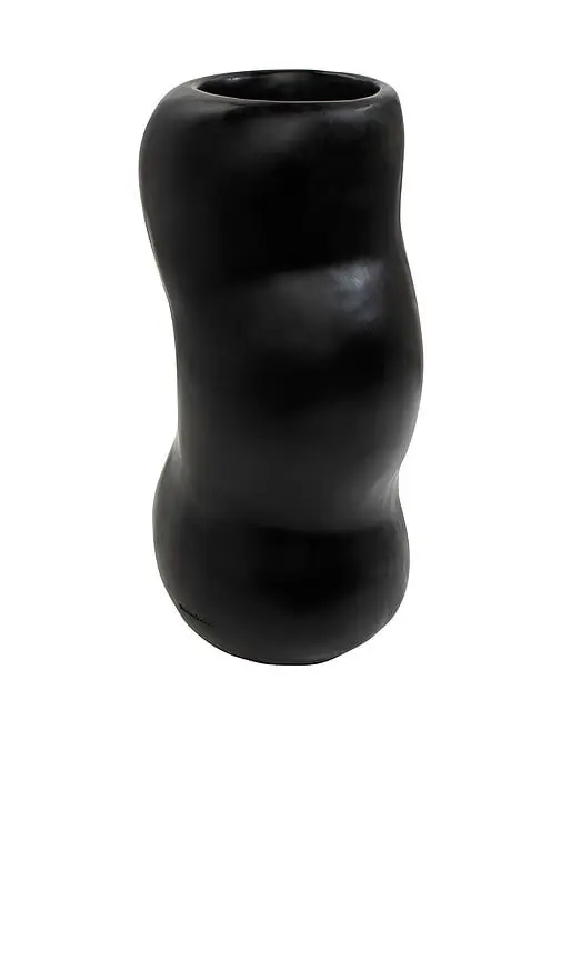 Dinosaur Designs Medium Valley Vase
