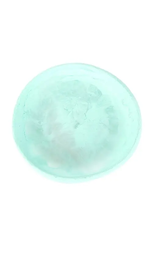 Dinosaur Designs Small Earth Bowl - Mint