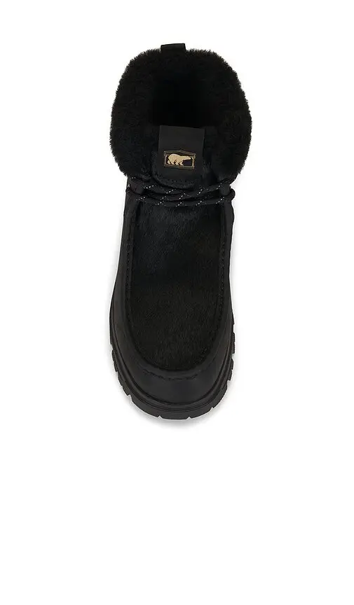 Sorel X Aries Daystorm Chukka