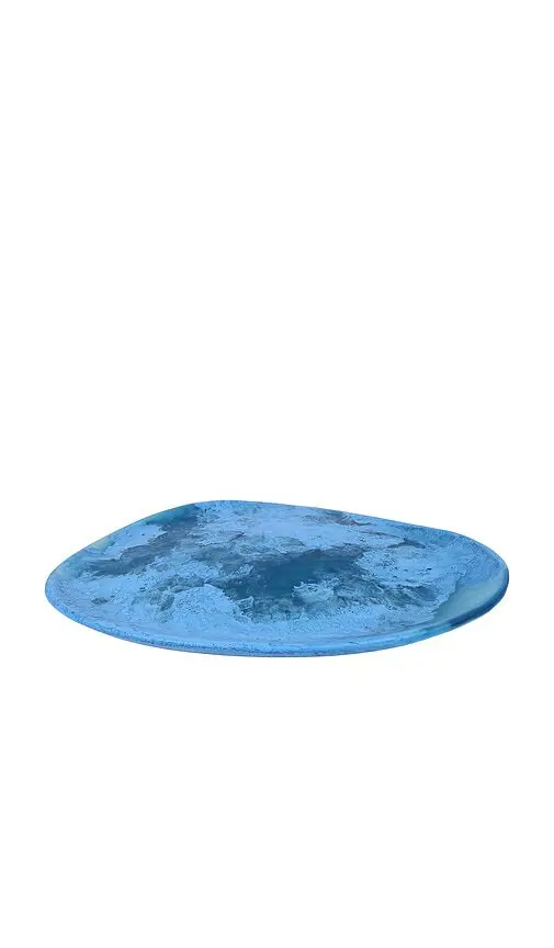 Dinosaur Designs Pebble Plate In Blue