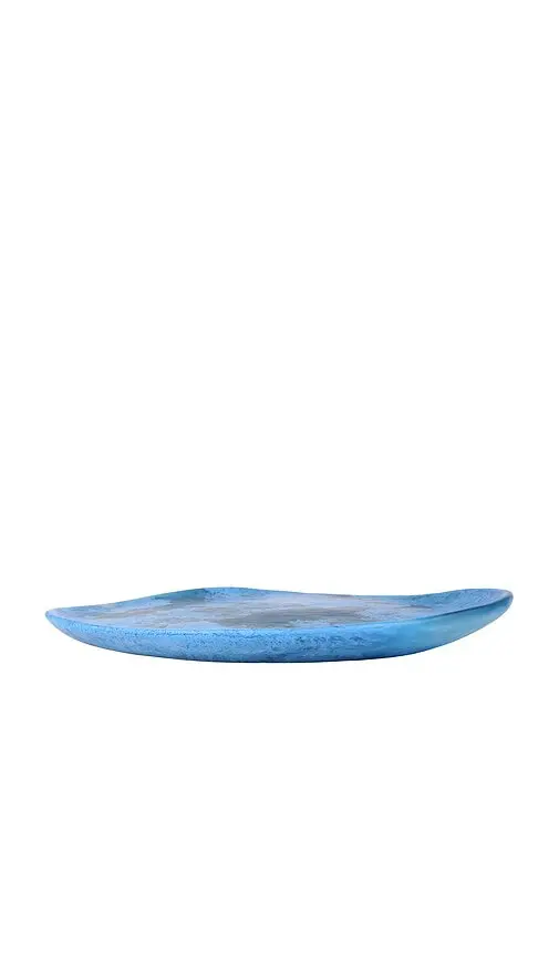 Dinosaur Designs Pebble Plate In Blue