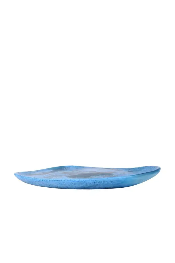 Dinosaur Designs Pebble Plate In Blue