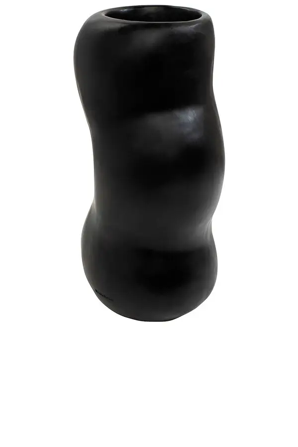 Dinosaur Designs Medium Valley Vase - Black