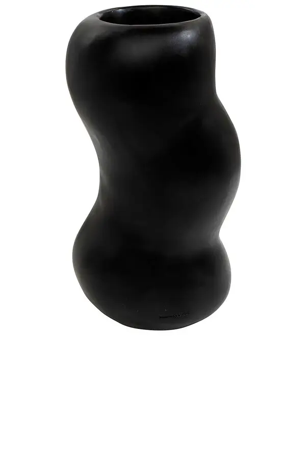 Dinosaur Designs Medium Valley Vase - Black