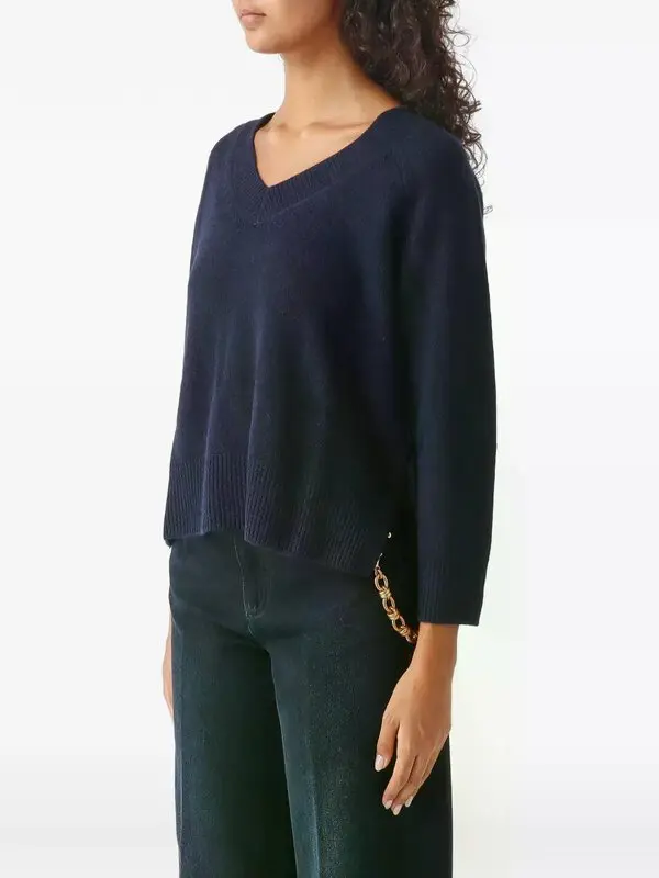 NENETTE Mary V-neck Raglan-sleeve Sweater
