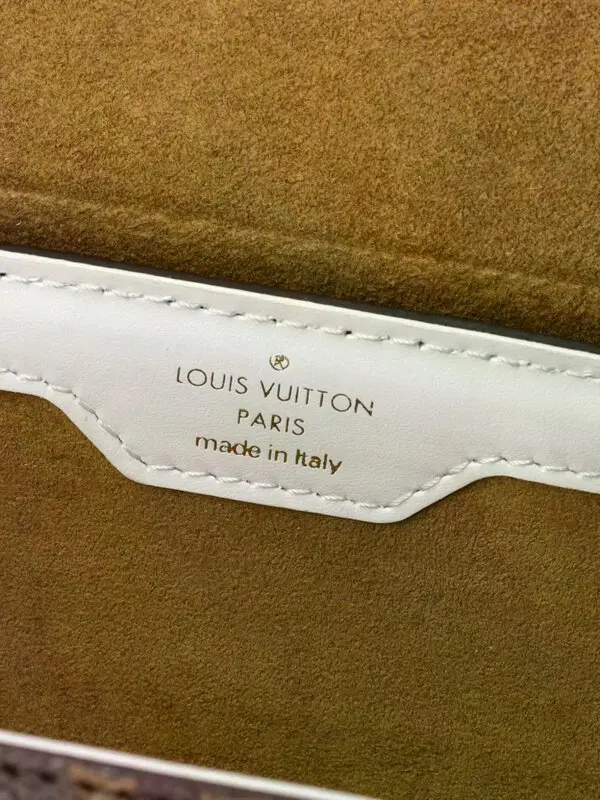 LOUIS VUITTON Papillon Trunk Bag Match Monogram Canvas Shoulder Bag