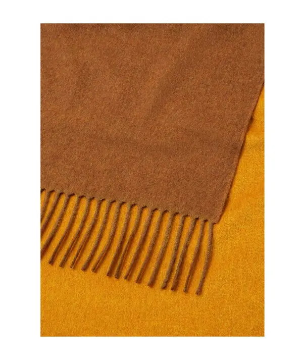 Loro Piana Two-tone Scarf