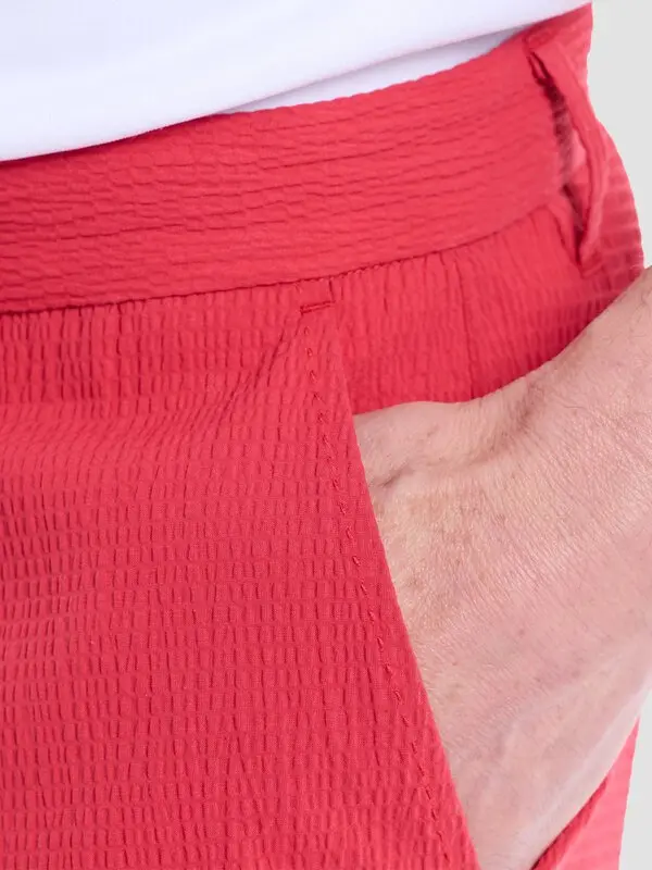 Robert Graham Thresher Seersucker Shorts