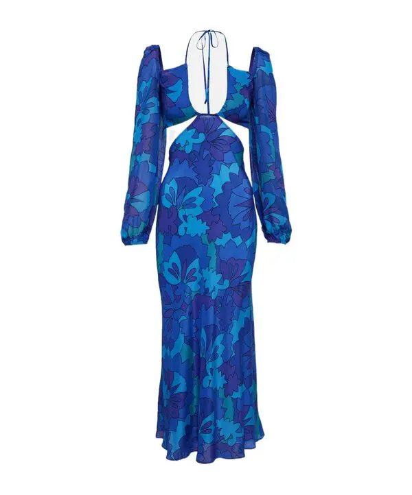 Rixo Printed Georgette Dress