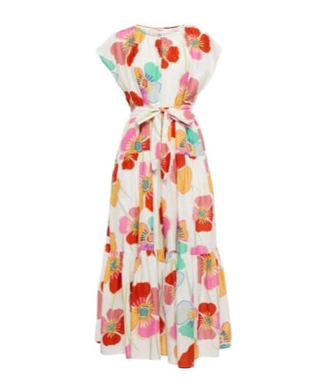 Velvet By Graham & Spencer Savannah Cotton And Silk Maxi Dress - White