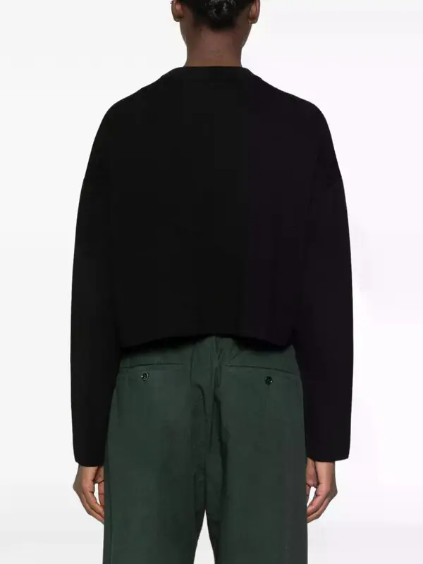 Loewe Anagram Cropped Sweater