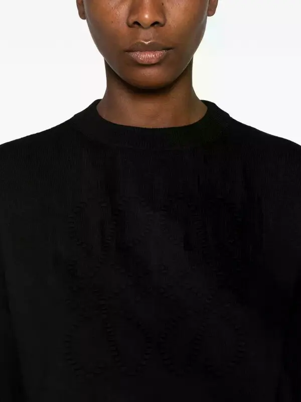 Loewe Anagram Cropped Sweater