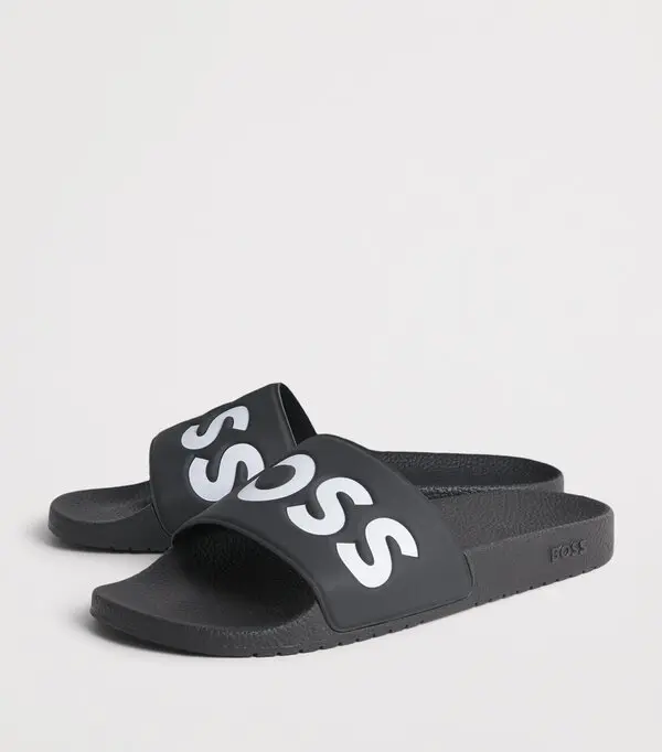BOSS Logo Slides