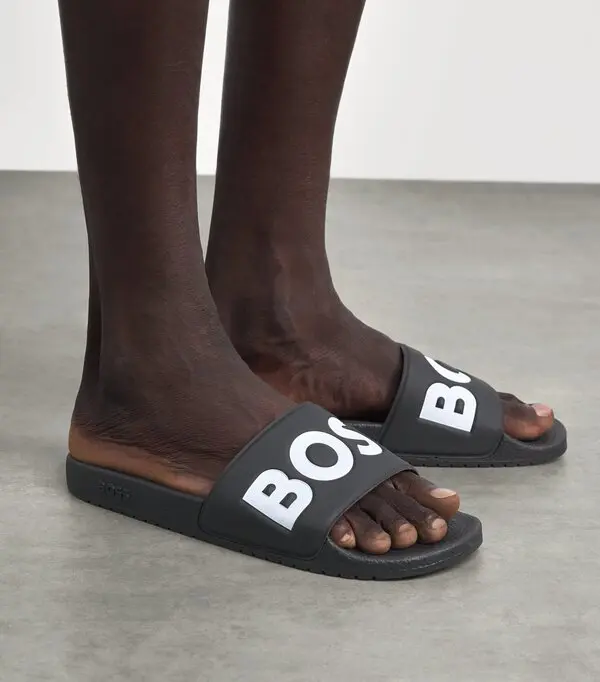 BOSS Logo Slides