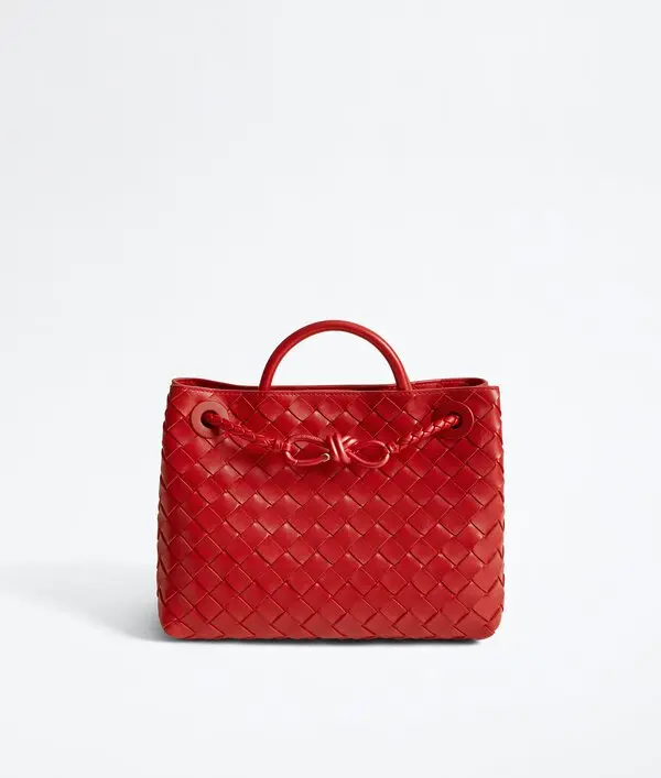 Bottega Veneta Andiamo Bag