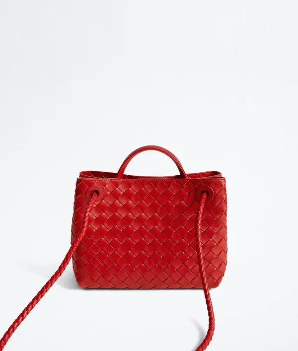 Bottega Veneta Andiamo Bag