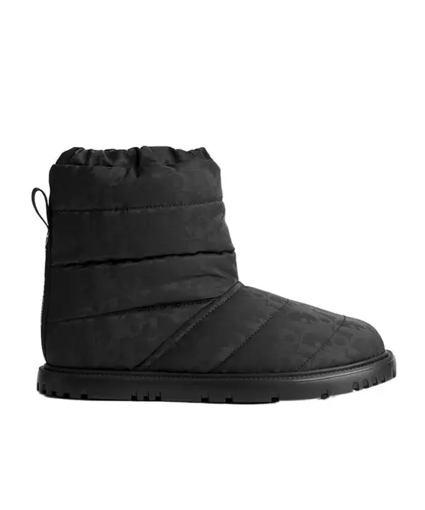 Dior Dioralps Freeze Ankle Boots