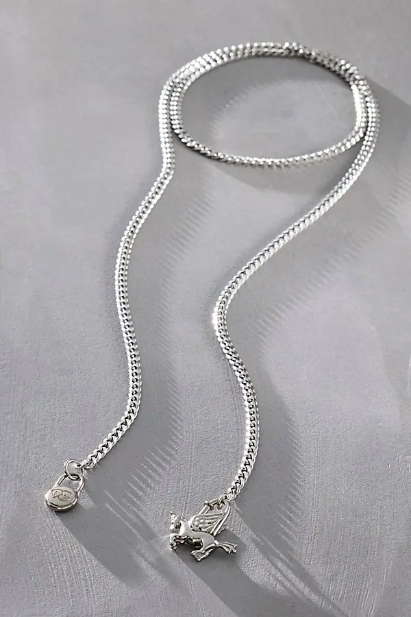 ATELIER CG Ateliercg Wa Lariat Necklace - Silver