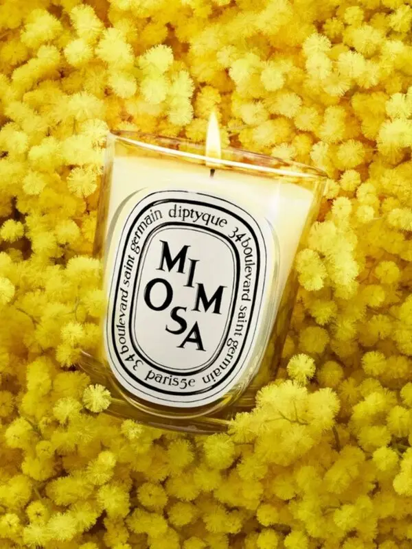 DIPTYQUE Mimosa Classic Candle 190gr
