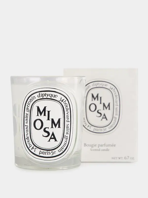 DIPTYQUE Mimosa Classic Candle 190gr