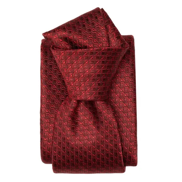 ELIZABETTA MADE IN ITALY Brunelli Silk Jacquard Tie Ruby