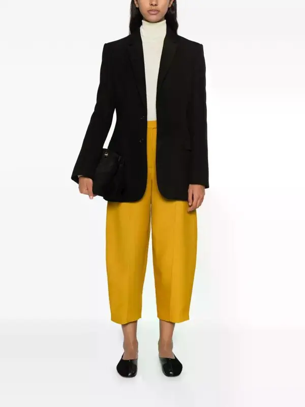Liviana Conti Cropped Pressed-crease Trousers