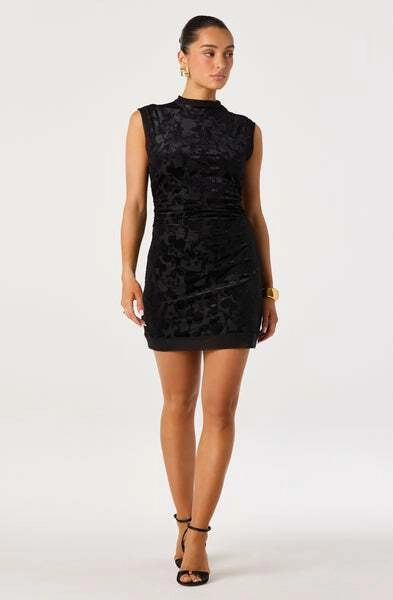 Astr The Label Stormi Velvet Burnout Mini Dress
