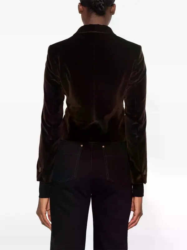 Tagliatore Double-breasted Velvet Jacket
