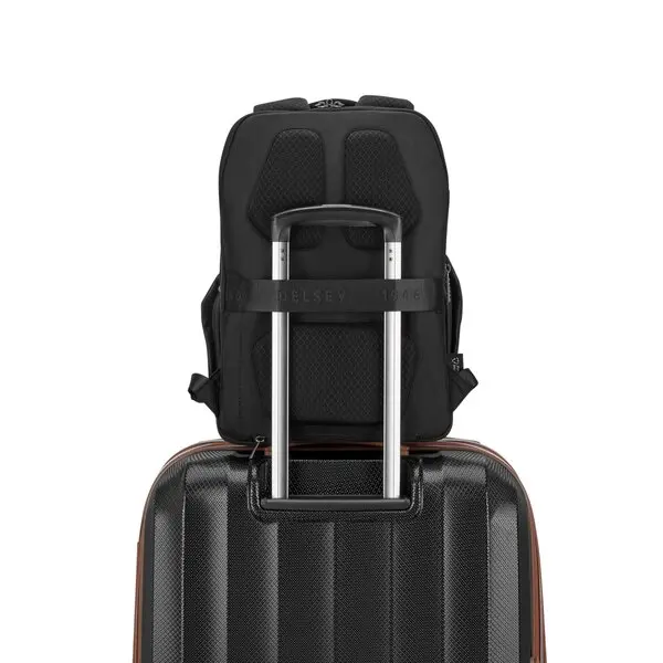 DELSEY PARIS Dlc Pro 15 Laptop Backpack