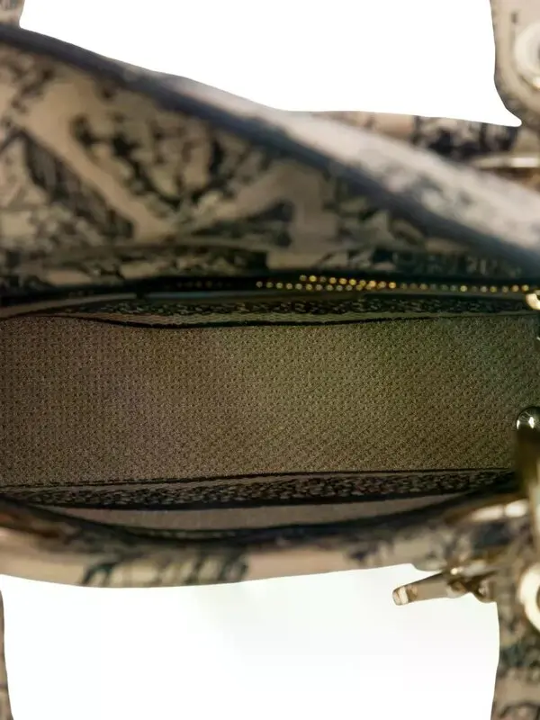 Dior 2023 Mini Embroidered Canvas Plan De Paris Lady D Lite Satchel