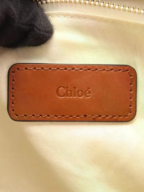 Chloé 2015-2026 Canvas Satchel
