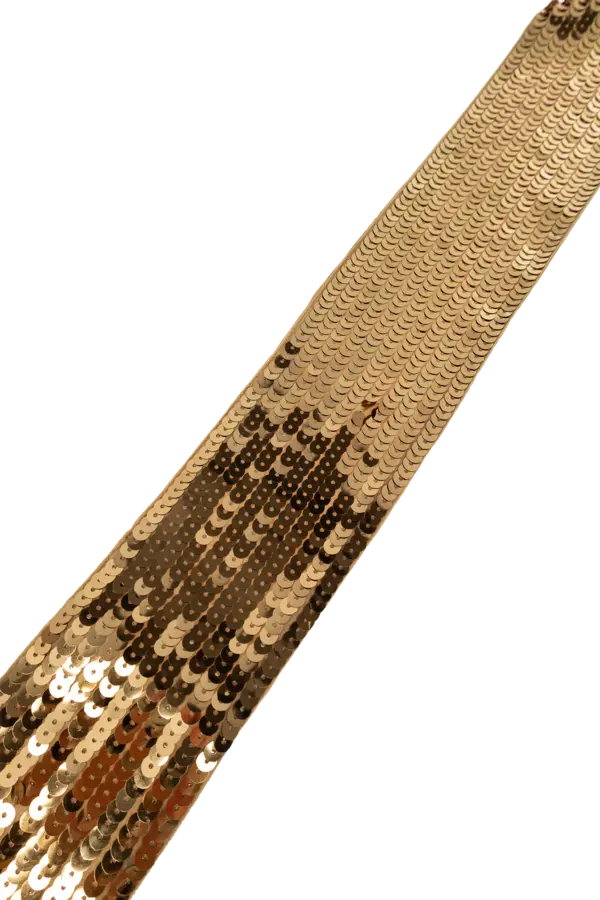 Zadig&Voltaire Sequin Scarf