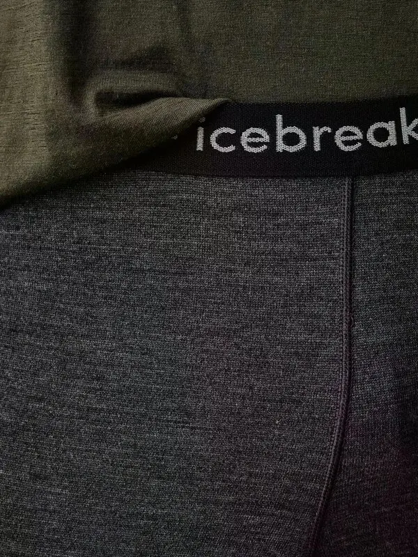 Icebreaker Logo-waistband Leggings