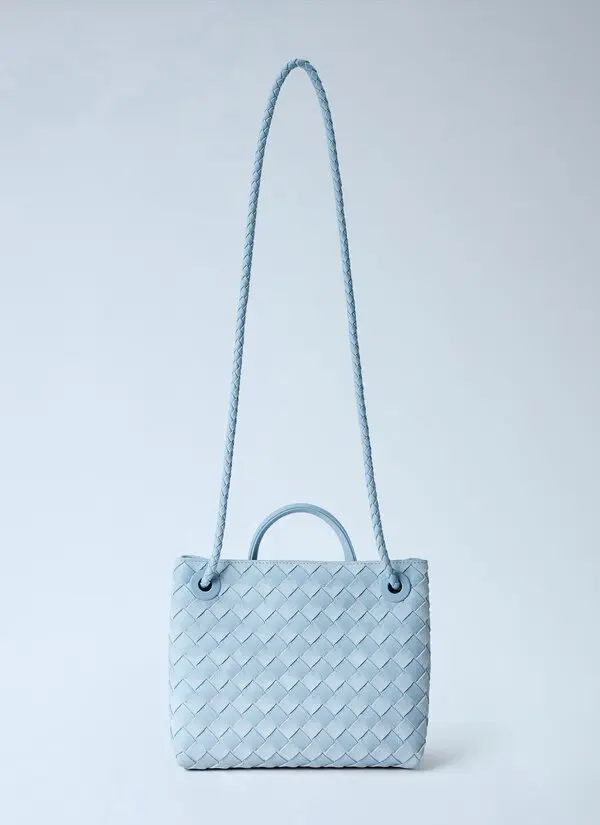 Bottega Veneta Small Andiamo Handbag