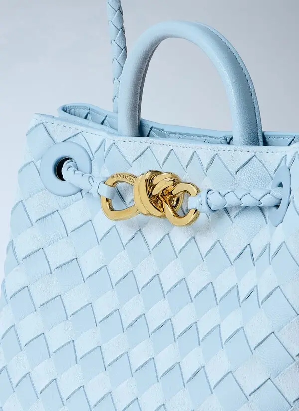 Bottega Veneta Small Andiamo Handbag