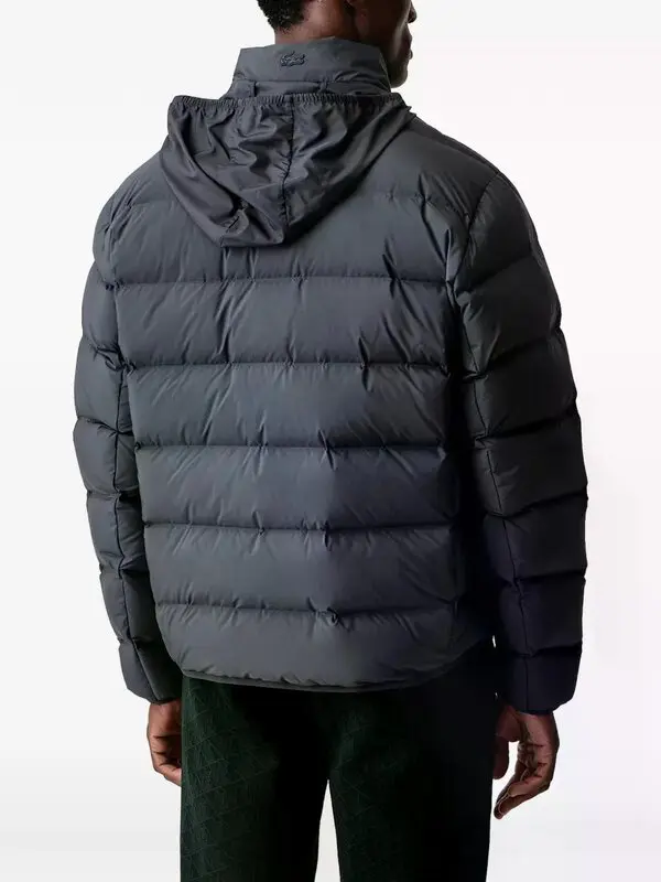 Lacoste Water-repellent Down Commuter Jacket