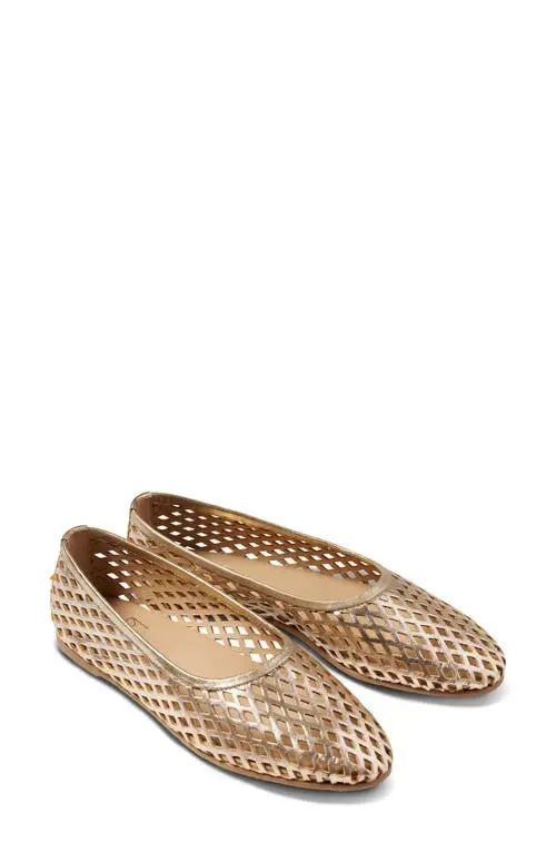 Beek Swiftlet Perforated Ballet Shoe - Gold
