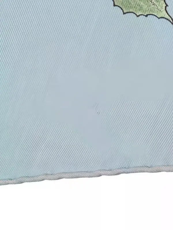 Hermès 2010s Printed Silk Scarf
