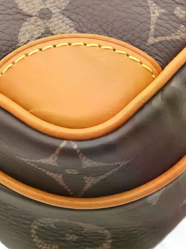 LOUIS VUITTON 2021 Amazone Monogram Shoulder Bag