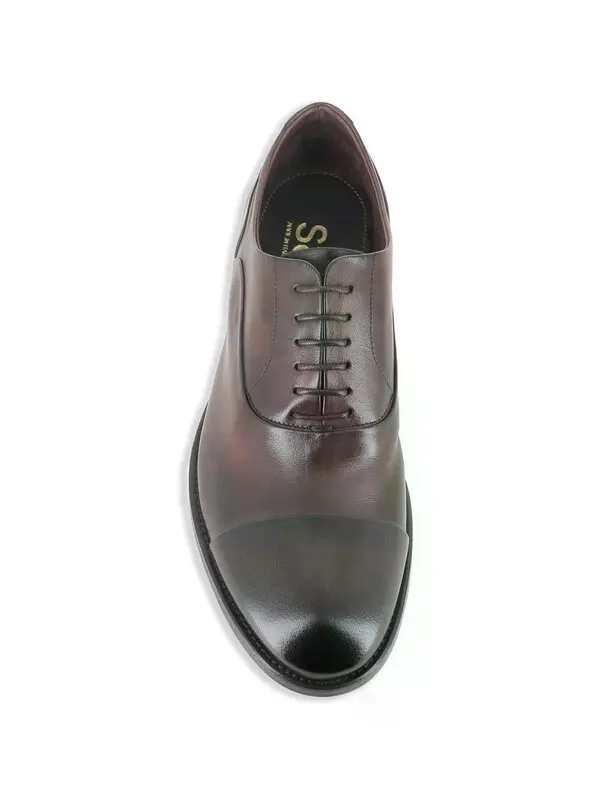 TASSINARI Salle Cap-toe Oxford Shoes - Brown