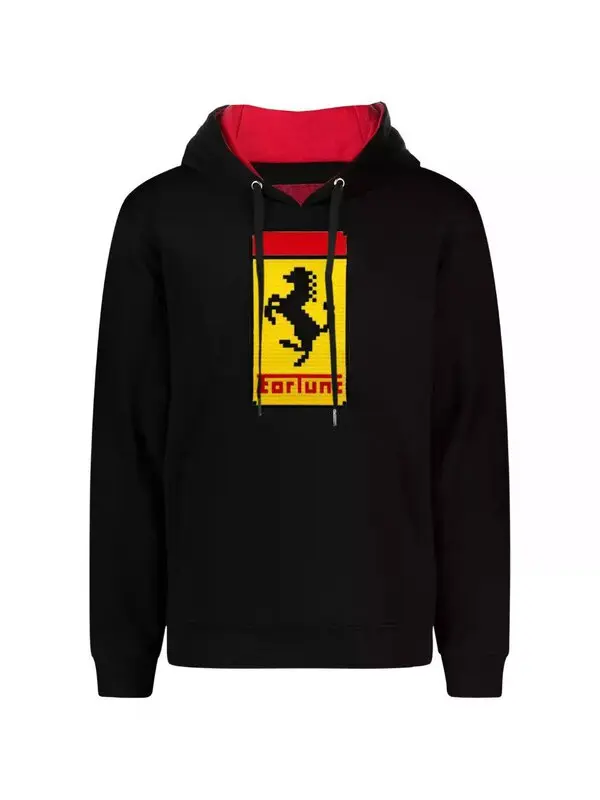 MOSTLY HEARD RARELY SEEN Graphic Horse Fortune Hoodie