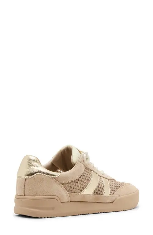 Steve Madden Verdict Low-profile Sneakers - Taupe/gold