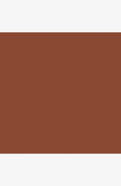 IRO PARIS Embella Leather Belt - Cognac