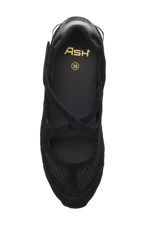 Ash Kore Ballet Sneaker - Black