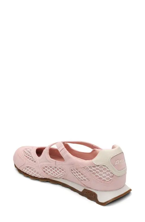 Ash Kore Ballet Sneaker - Rose/talc