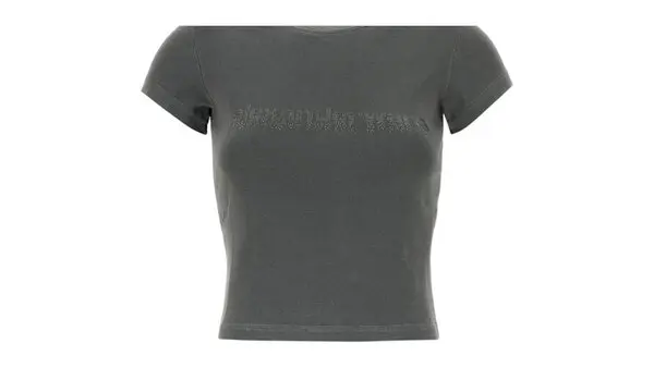 Alexander Wang Hotfix Graphic Baby Tee - Grey