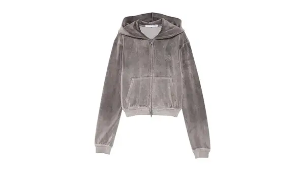 Alexander Wang Allover Hotfix Shrunken Zip Up Hoodie - Titanium