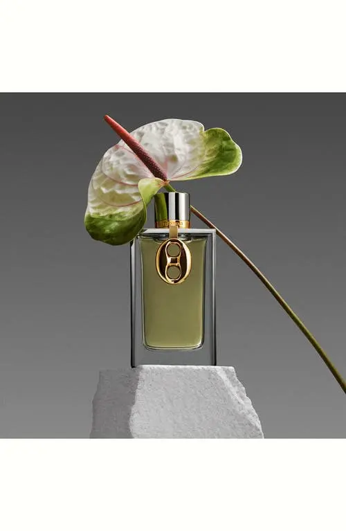 Rabanne Mesh Metal Eau De Parfum - No Color