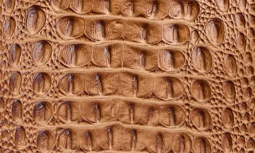 Brahmin Croc-embossed Leather Tote