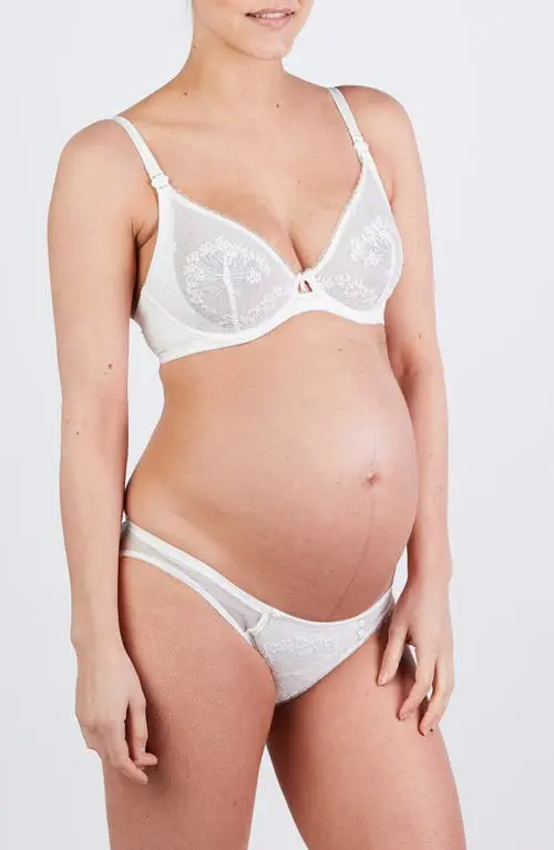 CACHE COEUR Louise Embroidered Maternity Briefs - Ivory